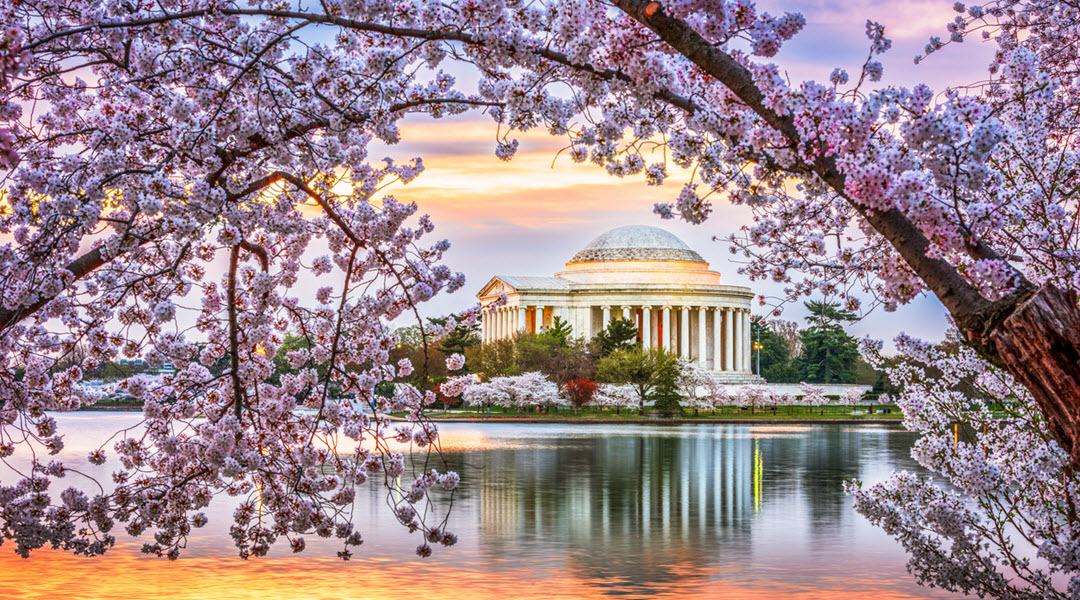 Washington DC Tours: The Top 3 Ways to See DC